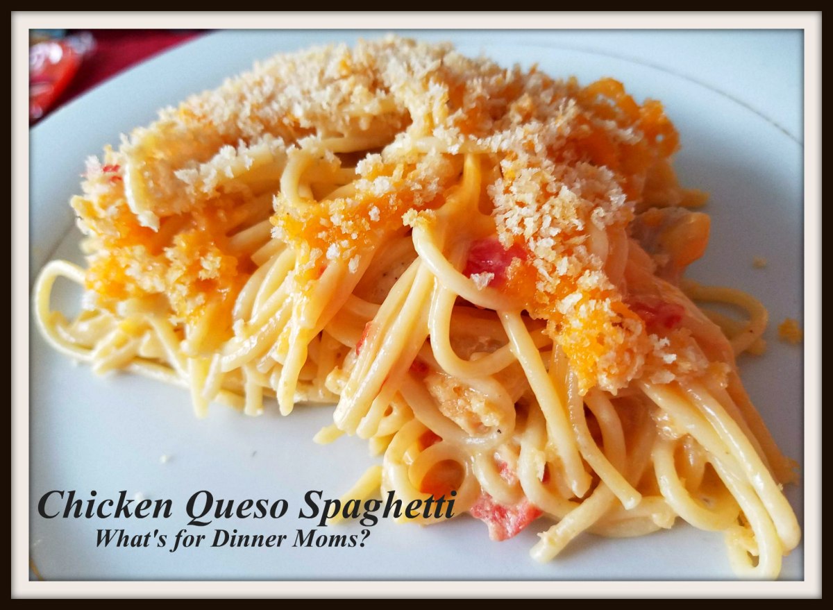 Chicken Queso Spaghetti – What's for Dinner Moms?